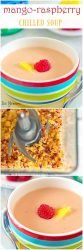 Mango-Raspberry Chilled Soup {Blender Recipe} - Its Yummi